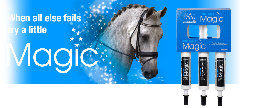 NAF Instant Magic Paste 3 Spritzen – FutterFEE